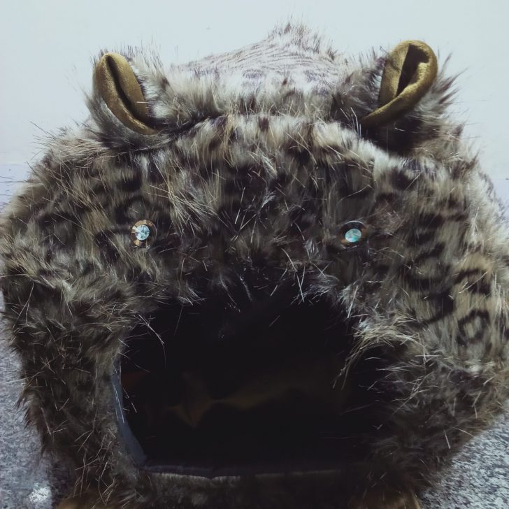 CAT FACE SHAPE CAT HOUSE - Raza Pets Clinic and Store